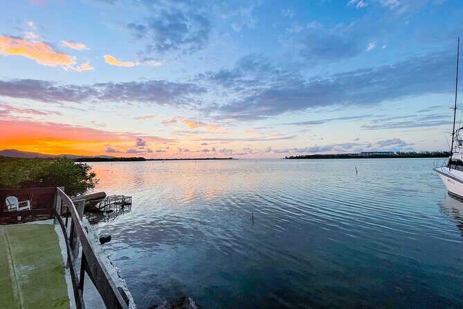 Montego Bay Local Experience & Beach from Cruise Ships - Who Is This Tour Best For?