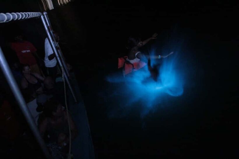 Montego Bay: Luminous Lagoon Evening Boat Tour - What to Expect During the Tour