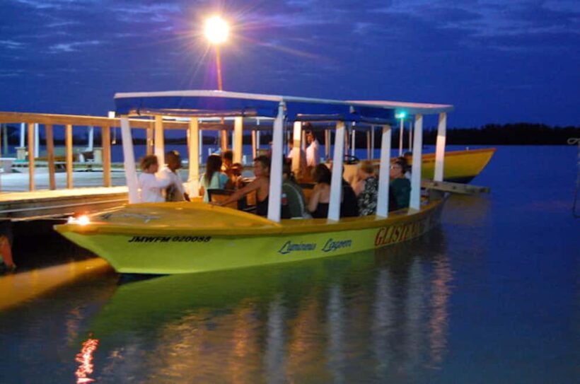 Montego Bay: Luminous Lagoon Night Tour by Boat - Introducing the Luminous Lagoon Night Tour: A Genuine Natural Wonder