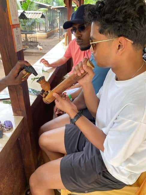 Montego Bay: Marijuana Farm and Bird Sanctuary Tour - What You Can Expect from the Tour