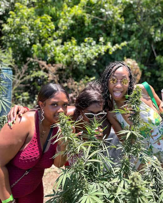 Montego Bay: Marijuana Farm and Bird Sanctuary Tour - The Strengths of the Tour