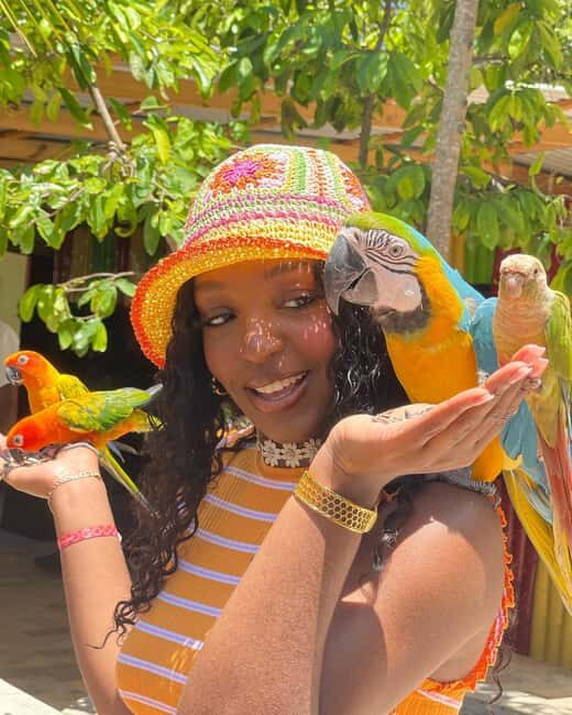 Montego Bay: Marijuana Farm and Bird Sanctuary Tour - Final Thoughts
