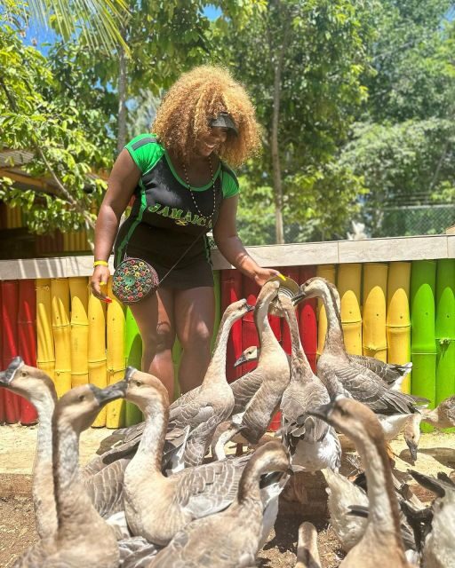 Montego Bay: Marijuana Farm and Bird Sanctuary Tour - FAQs