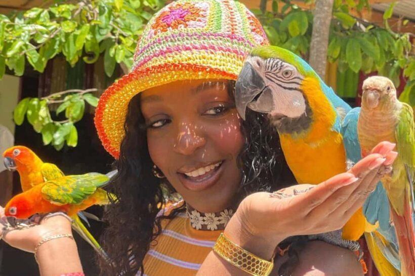 Montego Bay: Marijuana Farm and Bird Sanctuary Tour - A Closer Look at the Tour Experience