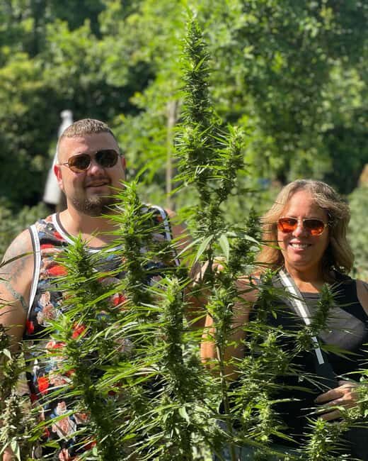 Montego Bay Marijuana Farm Private Tour - Key Points
