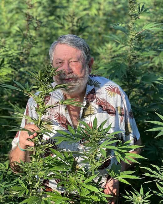 Montego Bay Marijuana Farm Tour - The Sum Up