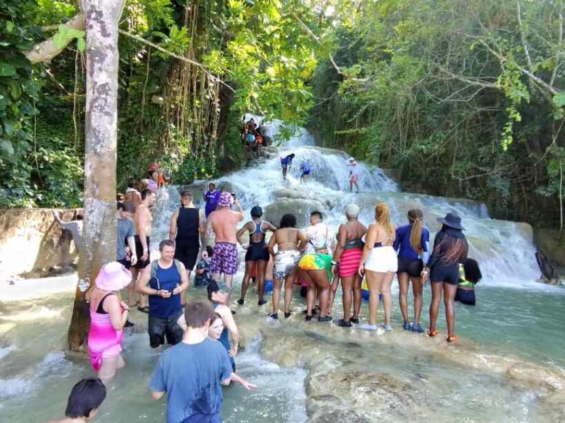 Montego Bay: Private Bob Marley and Dunn's River Falls Tour - Key Points