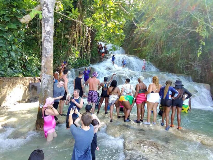 Montego Bay: Private Bob Marley and Dunn's River Falls Tour - The Sum Up