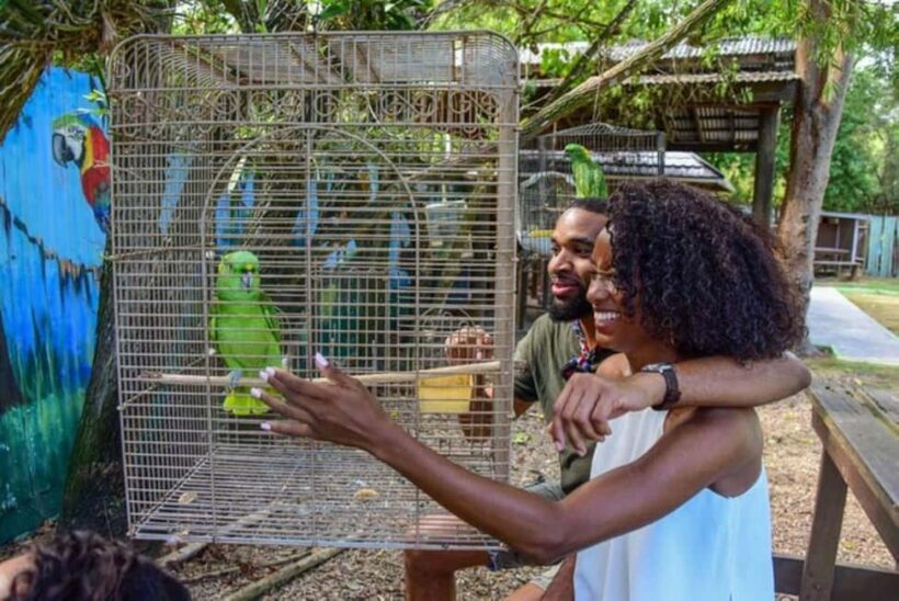 Montego Bay: Private Rocklands Bird Sanctuary Trip - Why This Tour Fits Certain Travelers