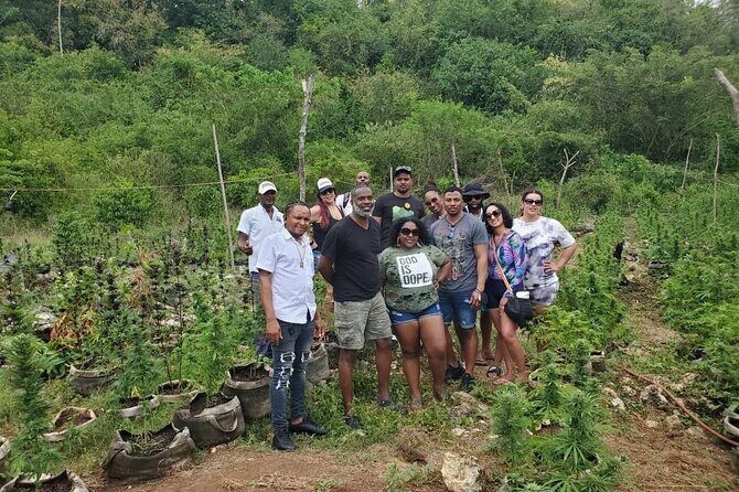 Montego Bay Private Transfer - Who Should Consider This Transfer?