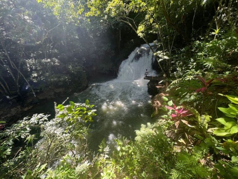 Montego Bay: Secret Falls And River Rapids Adventure - Final Thoughts