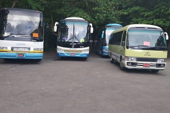 Montego Bay Shared Shuttle from Montego Bay Airport: One Way or Round Trip - Analyzing the Value