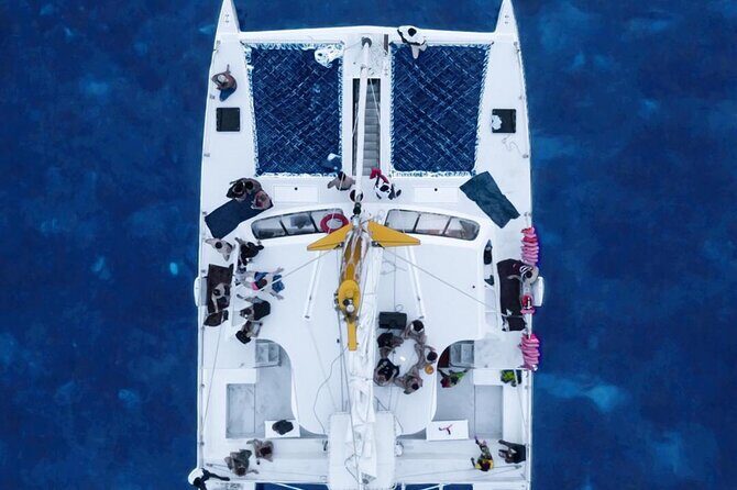 Montego Bay Sunset Catamaran with Private Transfer - Who Will Love This Tour?