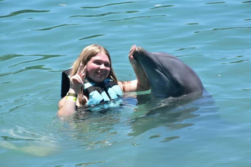 Montego Bay: Swim With The Dolphins Adventure in Lucea - What Makes This Tour Stand Out