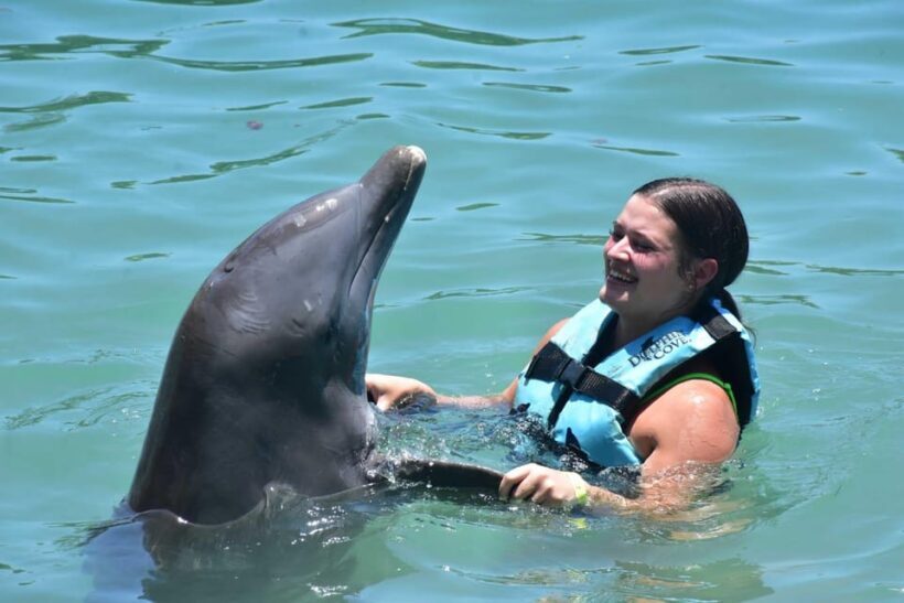 Montego Bay: Swim With The Dolphins Adventure in Lucea - From the Traveler’s Perspective