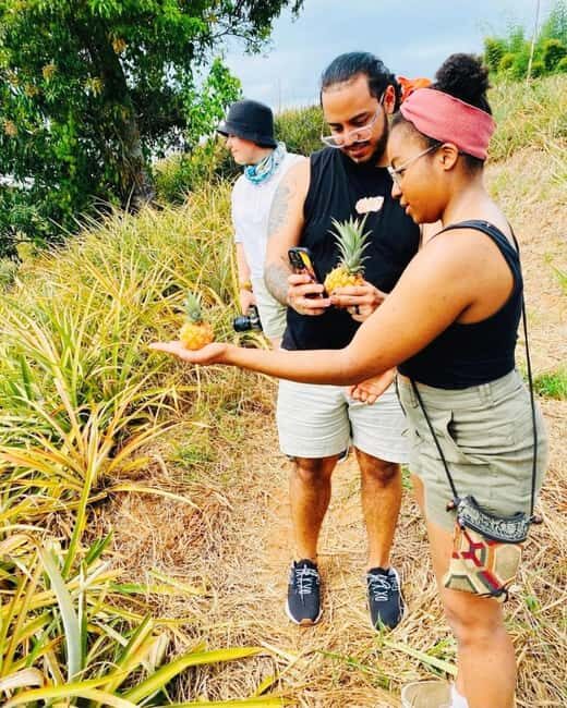 Montego Bay: The Great Kids Quest to the South Coast - Key Points