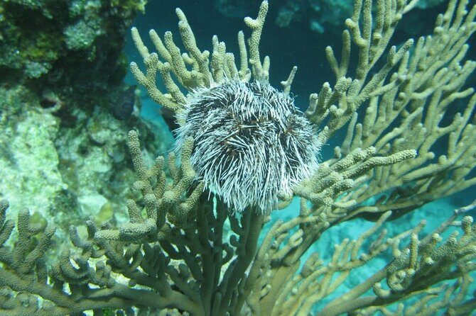 Montego Bay to Catamaran Cruise, Negril Beach and Rick's Café - How the Experience Looks from the Traveler’s Perspective