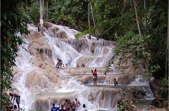 Montego Bay to Dunn's River Falls Half-Day Trip - Who Will Love This Tour?