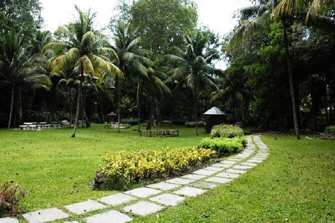 Montego Bay to Dunn's River Falls Half-Day Trip - FAQs