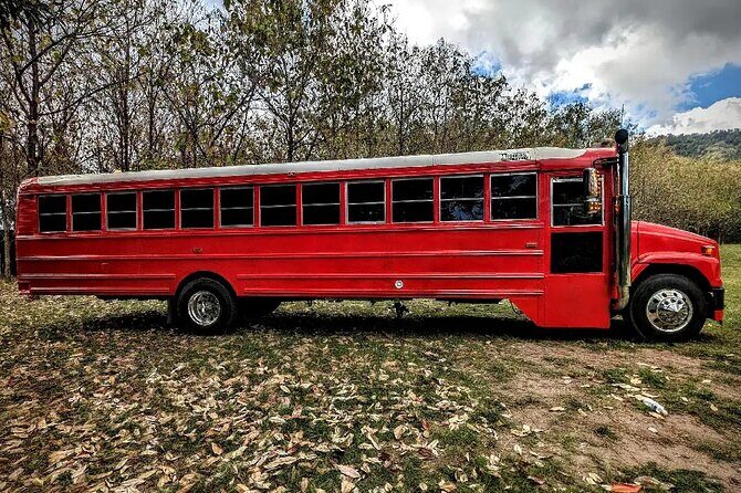 Montego Bay to Kingston PickUp & Drop-Off Service UP 20 PEOPLE - The Sum Up