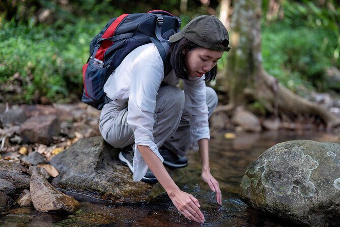 Montego Bay Tour to Blue Hole & Dunns River Falls - Final Thoughts: Who Will Love This Tour?