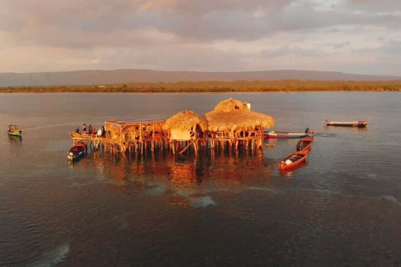 Montego Bay: YS Falls and Appleton Rum Private Tour by Van - A Complete Breakdown: What to Expect on the Tour