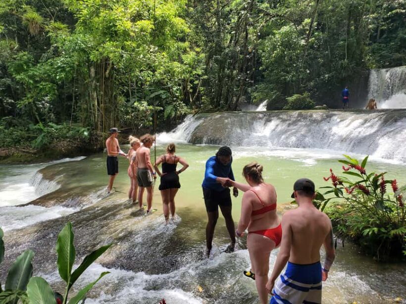 Montego Bay: YS Falls and Appleton Rum Private Tour by Van - Who Should Consider This Tour?
