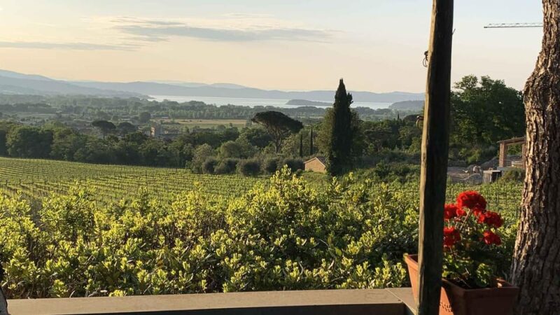 MONTEMELINO RARE WINES SELECTION - An In-Depth Look at What to Expect