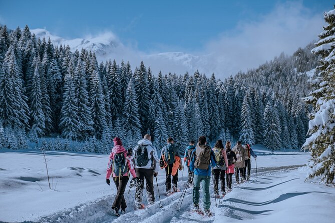 Montenegro Snowshoeing Durmitor - Discover the Charm of Montenegro Snowshoeing in Durmitor