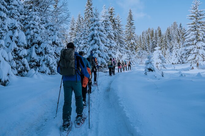 Montenegro Snowshoeing Durmitor - The Experience in Detail: A Walk Through Montenegro’s Winter Wonderland