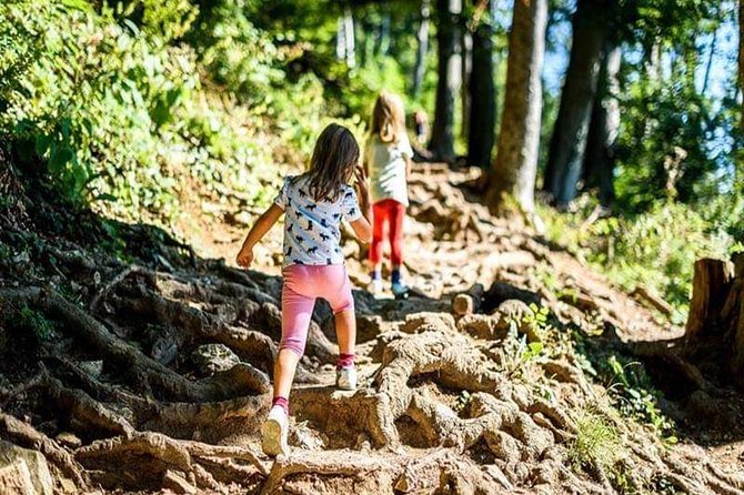 Montenegro Top Highlights in 3 Days - Who Will Love This Tour?