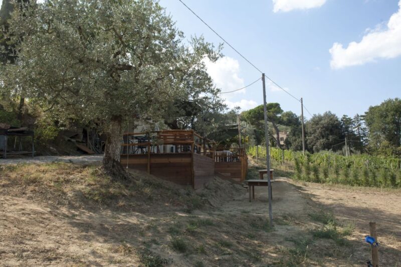 Montepulciano: Cinta Senese Tour With Food Tasting - FAQ