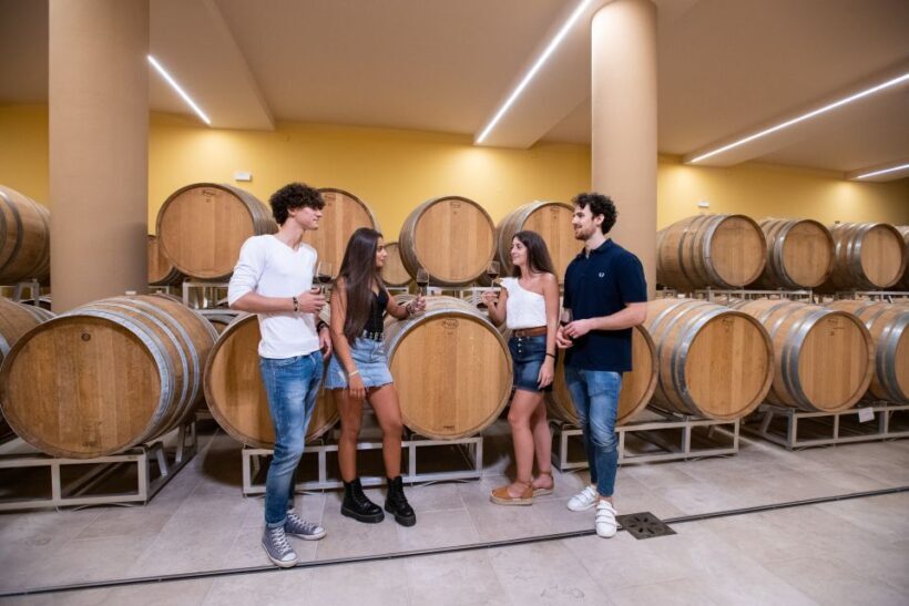 Montepulciano: Guided Wine Tasting Tour with Lunch - Key Points