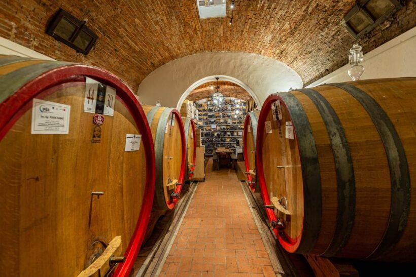Montepulciano: Guided Winery Tour with Tasting & Appetizers - A Deep Dive into the Experience