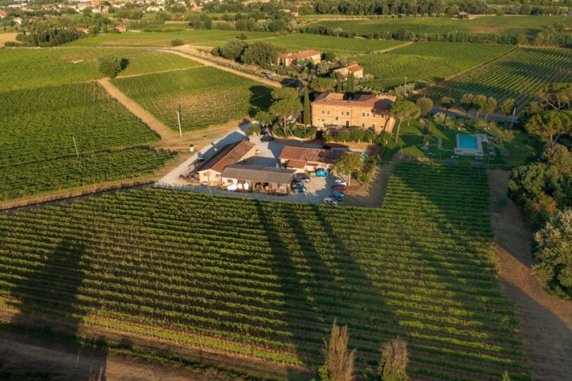 Montepulciano: Guided Winery Tour with Tasting & Appetizers - Who Will Love This Tour?