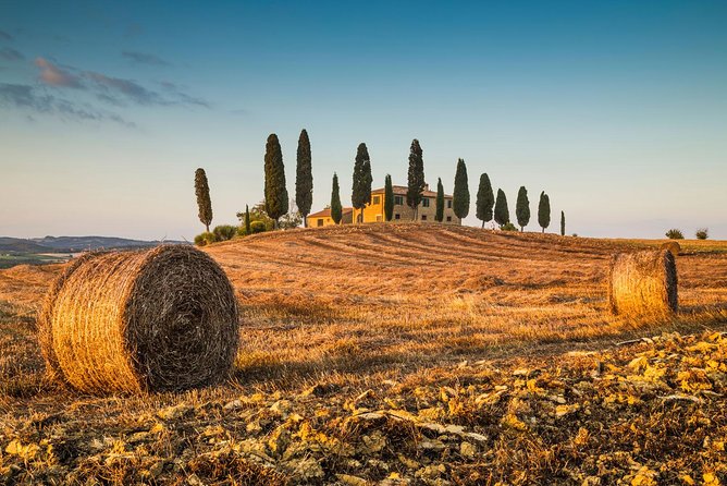 Montepulciano, Montalcino, Pienza From Florence - Montepulciano: A Charming Wine Lovers Paradise