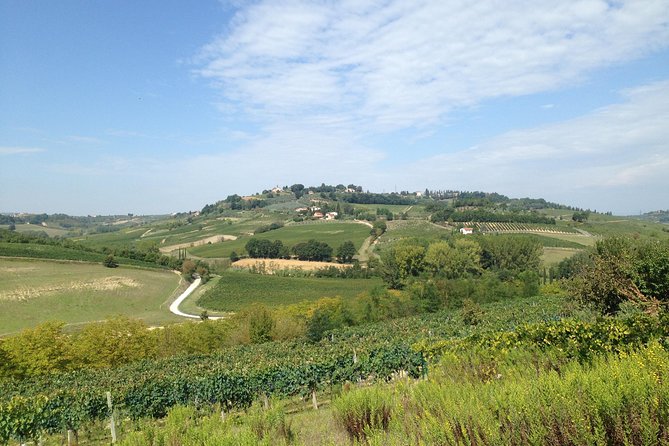 Montepulciano Pienza Montalcino Tour from Siena - Who Will Love This Tour?
