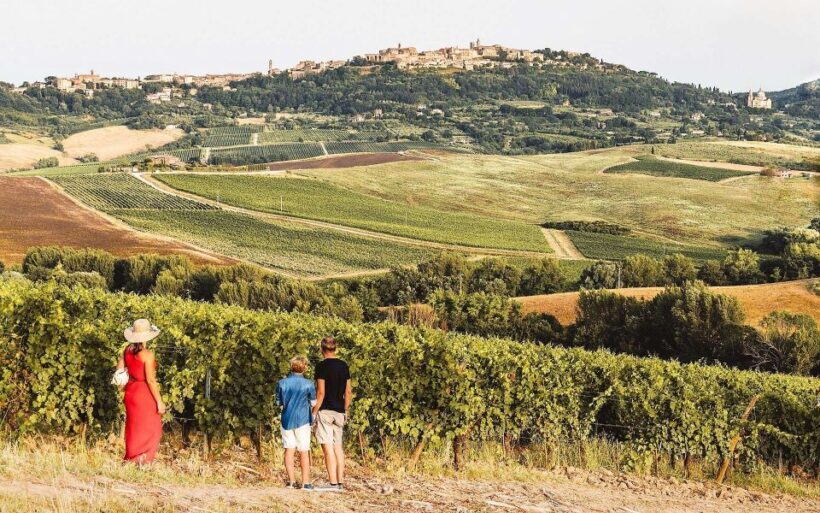 Montepulciano: Vino Nobile Wine Tour  Meet the Producers - Who Should Consider This Tour?