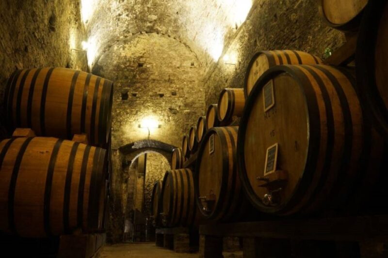 Montepulciano: Wine Tasting and Cellar Tour - Introduction: A Taste of Tuscany’s Wine Heritage