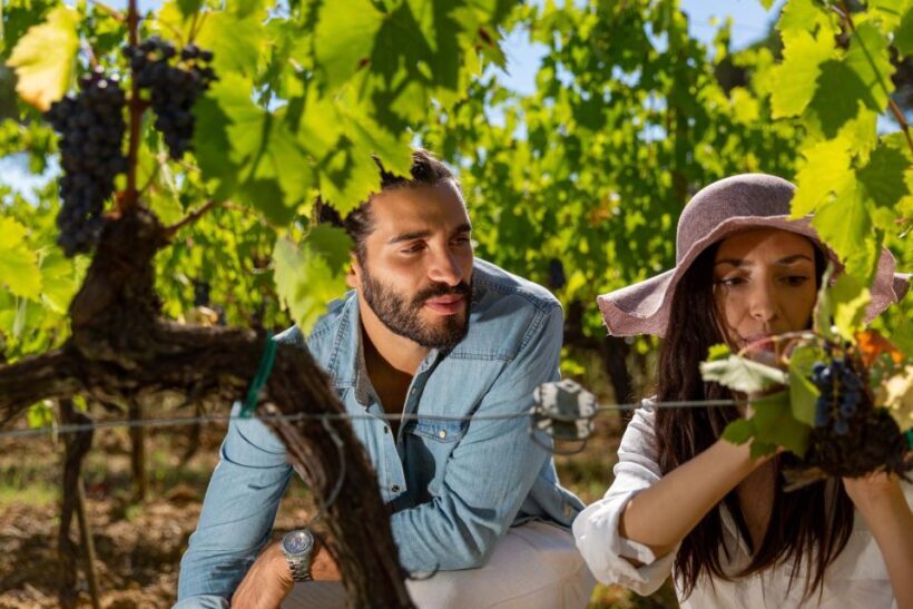Montepulciano: Wine Tasting in the Tuscan countryside - Final Thoughts