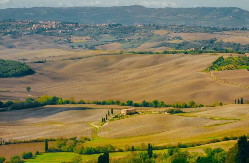 Montepulciano: Wine Tasting & Lunch in a Typical Winery - Who Should Consider This Tour?
