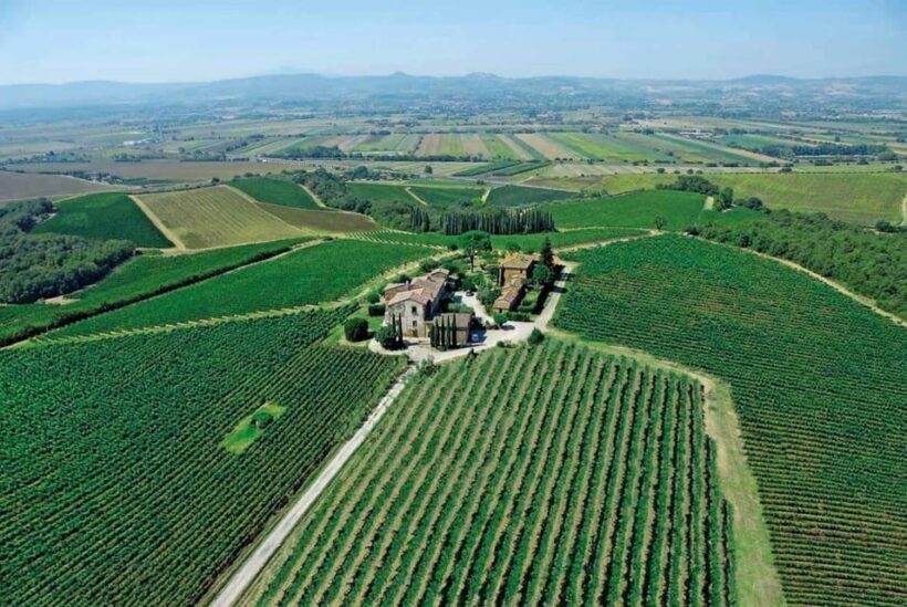 Montepulciano: Wine Tour and tasting - The Itinerary and Highlights