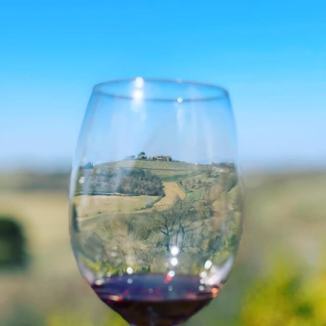 Montepulciano: Wine Tour and tasting - Practical Details and Value
