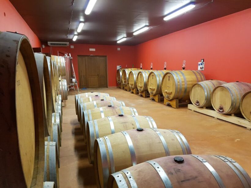 Montepulciano: Winery Tour, Tasting, and Vineyard Picnic - Why This Tour Stands Out