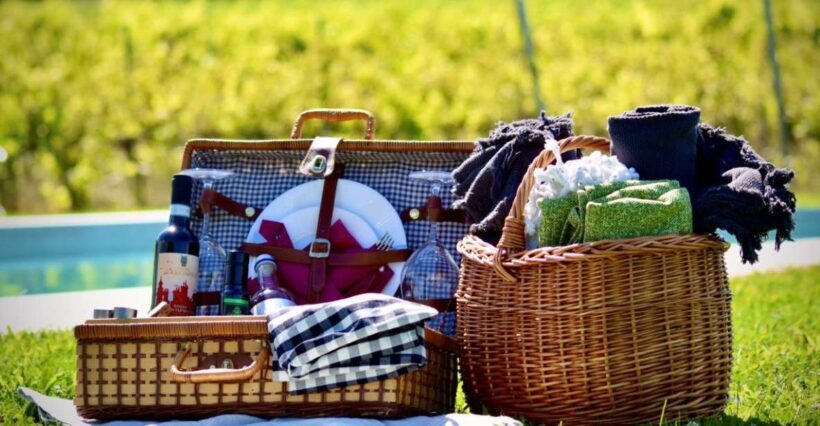 Montepulciano: Winery Tour, Tasting, and Vineyard Picnic - Potential Drawbacks and Considerations