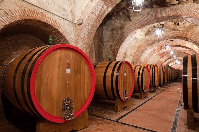 Montepulciano: Winery Tour & Tasting Experience - Positive Customer Feedback