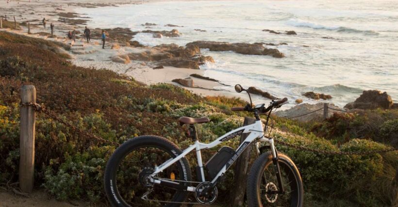 Monterey and 17 Mile Drive: Half-Day Electric Bike Rental - A Detailed Look at the Monterey and 17 Mile Drive Electric Bike Tour