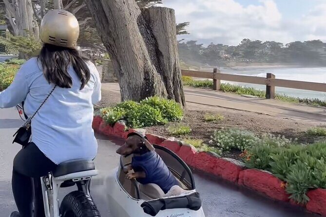 Monterey Bay Famous Dog Friendly Electric Bike and Sidecar Tour - The Sum Up