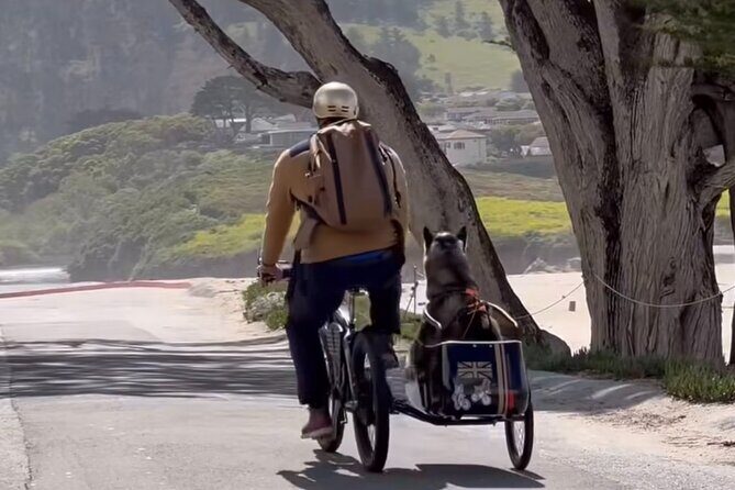 Monterey Bay Famous Dog Friendly Electric Bike and Sidecar Tour - FAQ