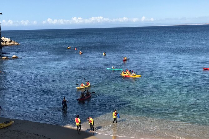 Monterey Bay Full-Day Kayak Rental: Otters, Seals and Sea Lions - The Experience Provider: Adventures By The Sea
